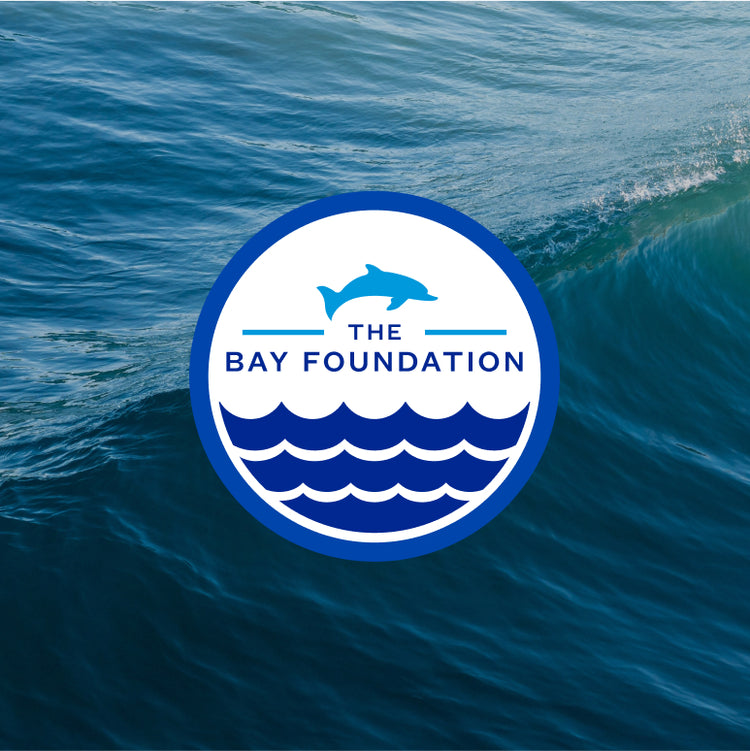 vH Essay: Giant Kelp Restoration: The Bay Foundation's Mission in Acti ...