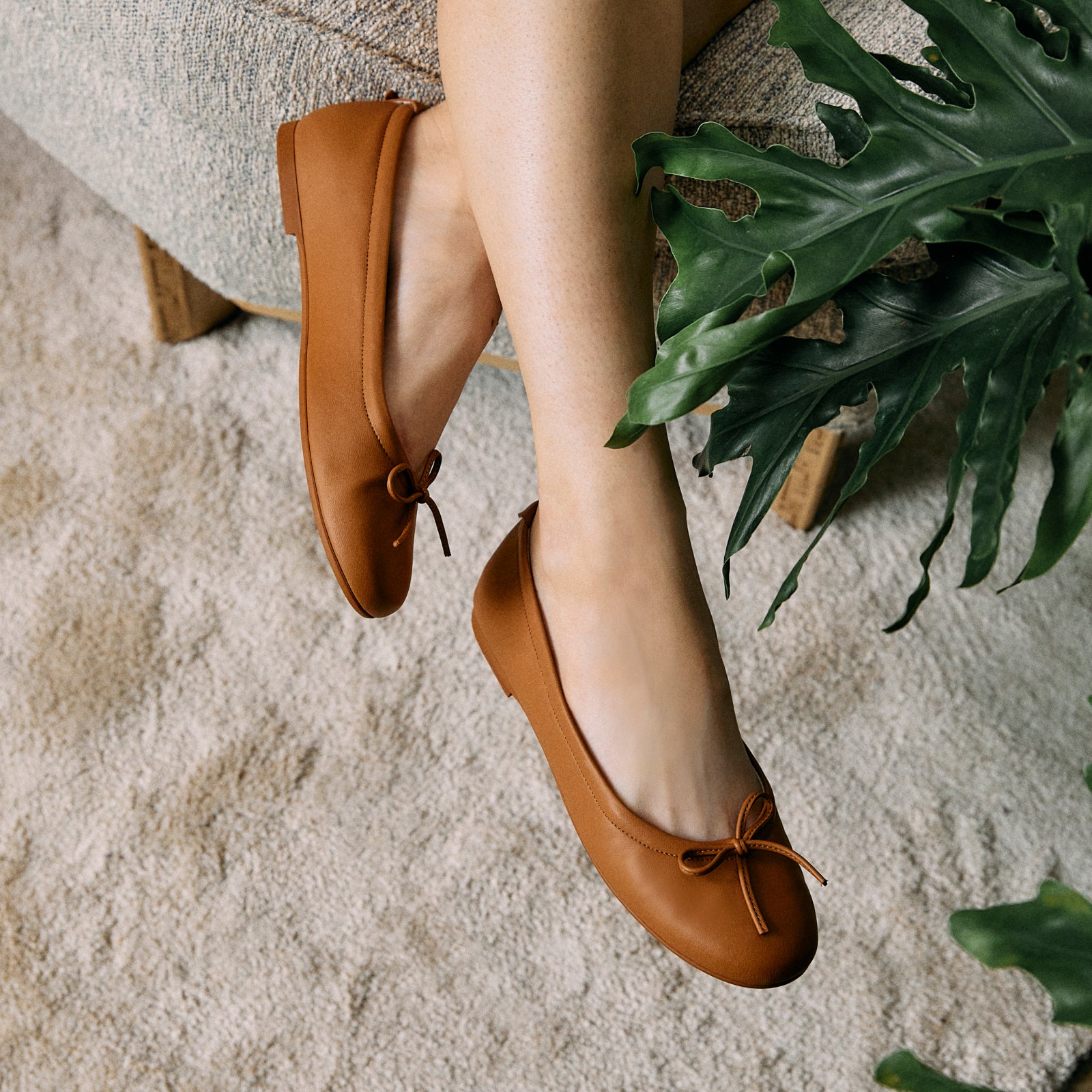 Peta: These PETA Business Friends are choosing cactus and other plant ...