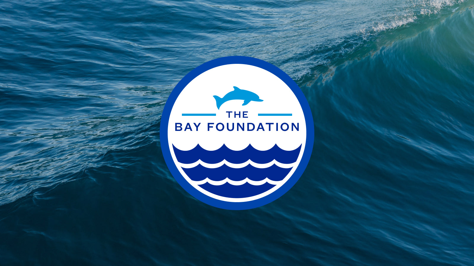 vH Essay: Giant Kelp Restoration: The Bay Foundation's Mission in Acti ...